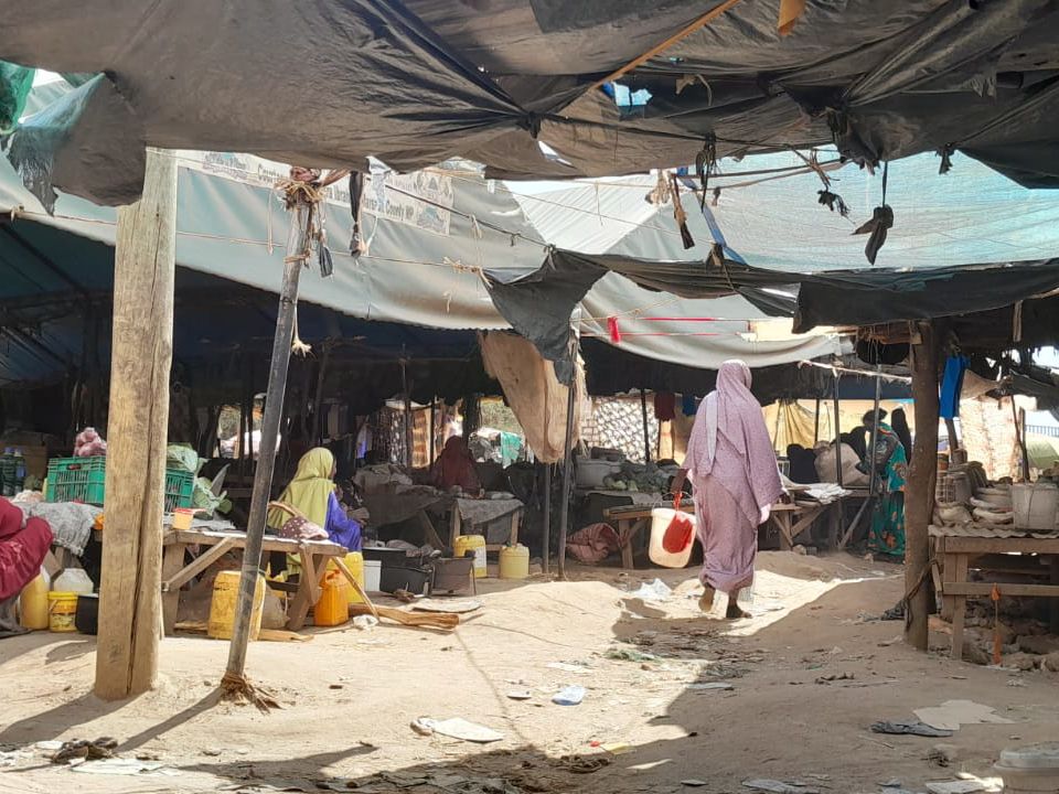 Surviving Food Insecurity